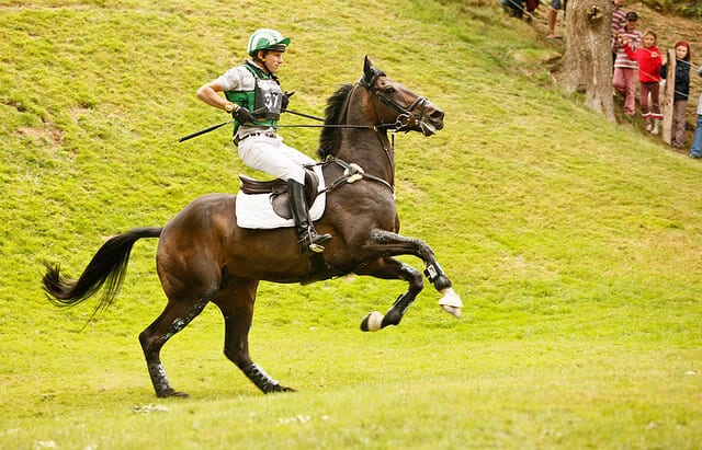 7 Characteristics That All Great Riders Have - iHeartHorses.com