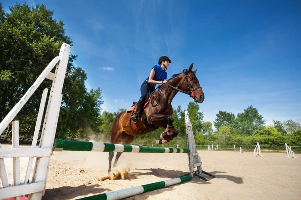 7 Characteristics That Great Horseback Riders Have