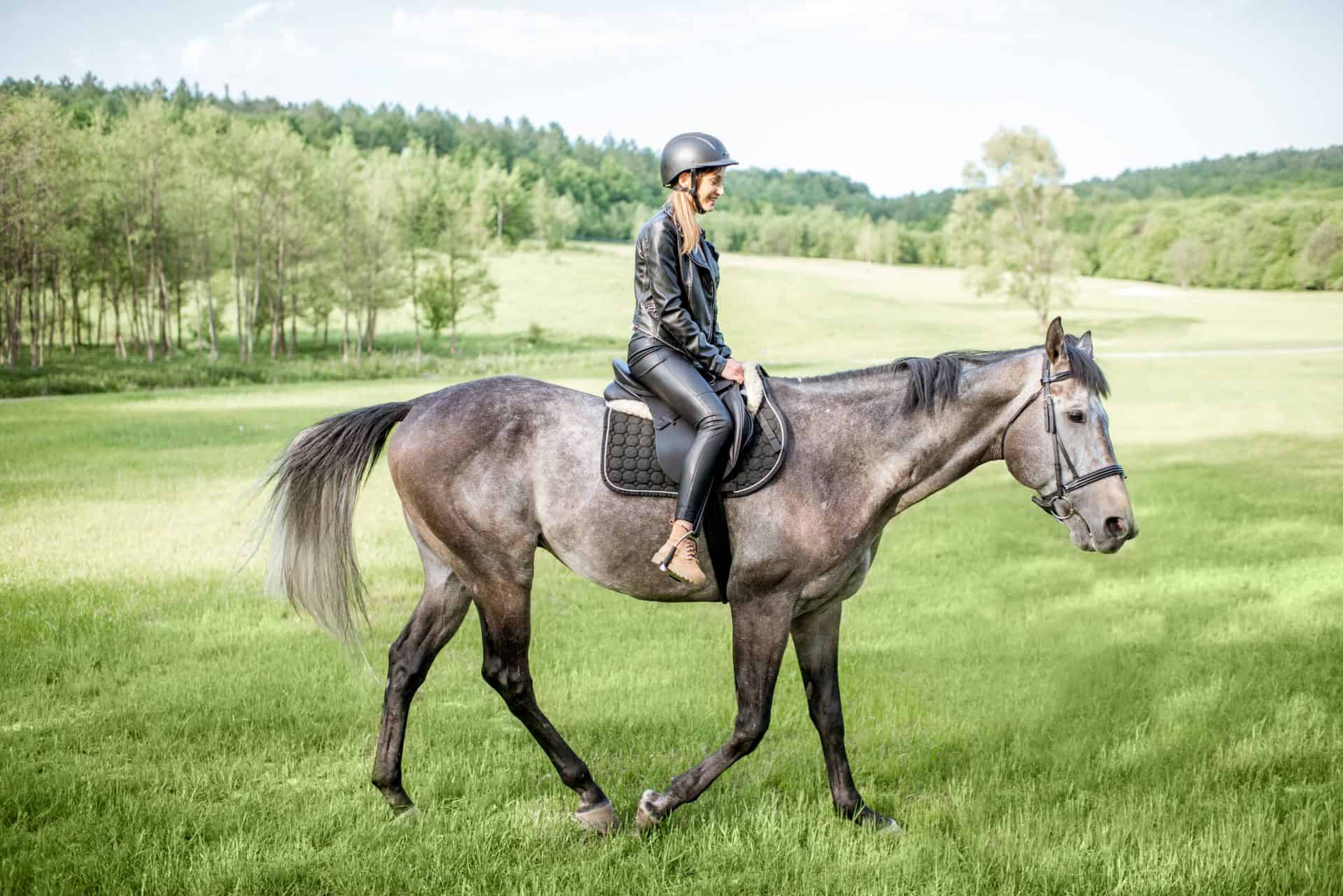 7 Ways Horseback Riding Improves Your Life
