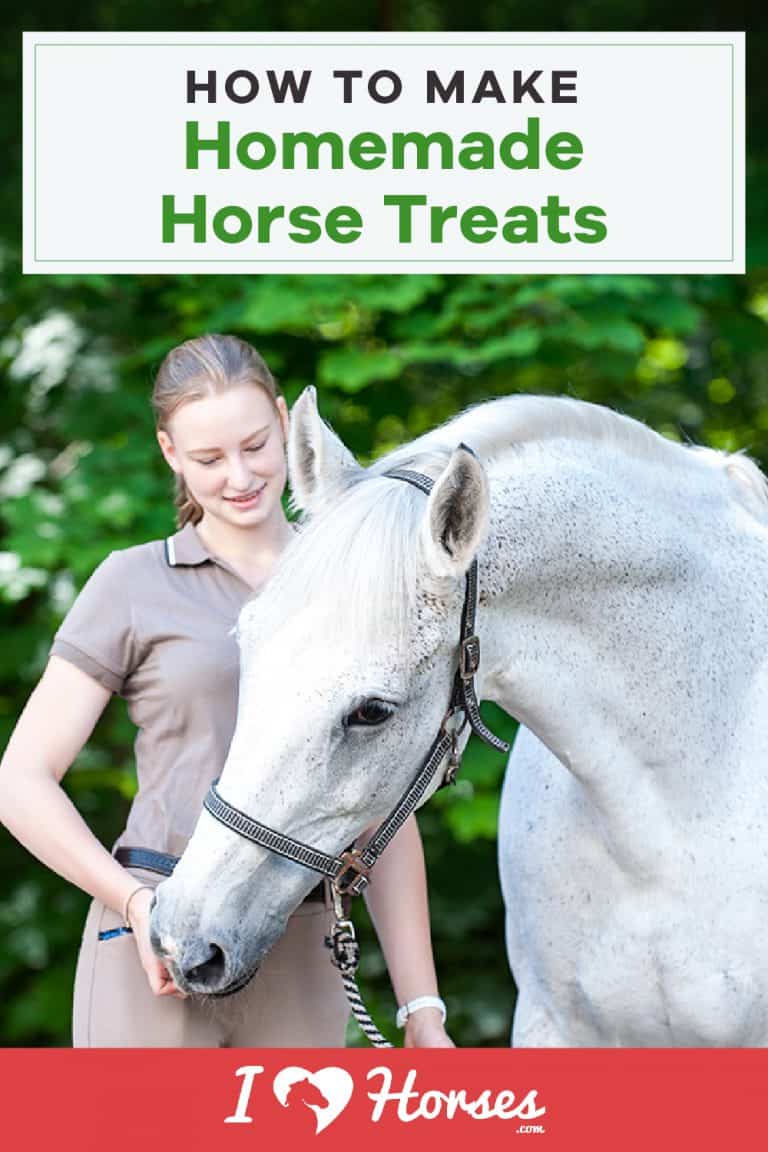 How To Make Your Own Homemade Horse Treats