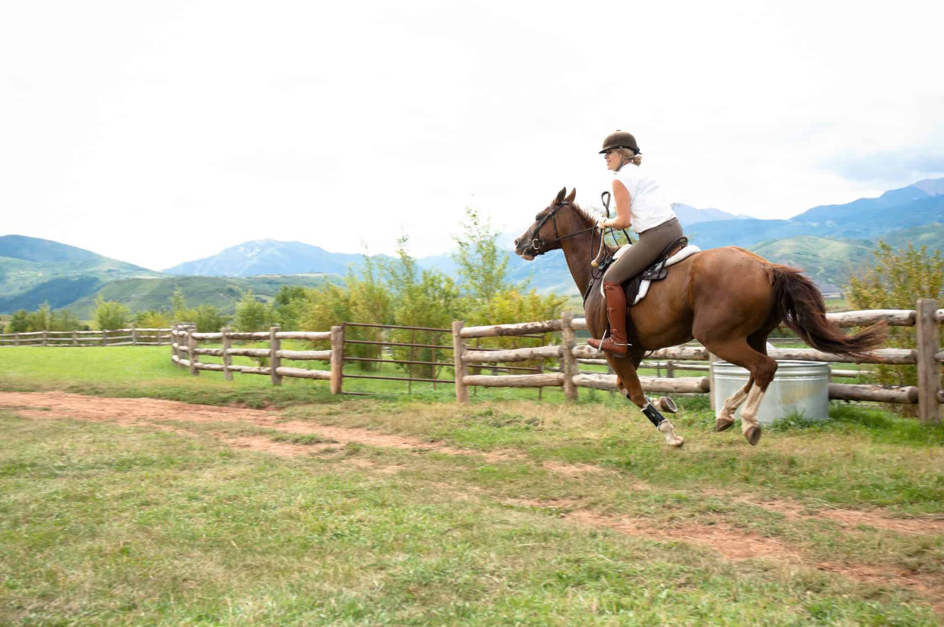Horseback Riding Tips: 6 Ways To Stay Calm In The Saddle