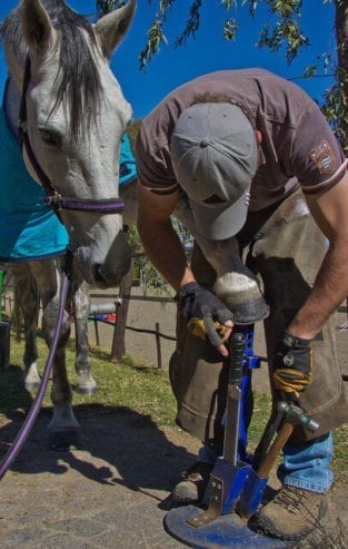 6 Ways To Stay On Your Farrier’s Good Side