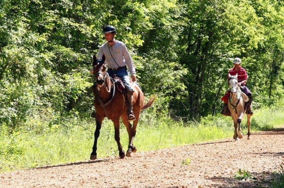 7 Trail Riding Safety Tips