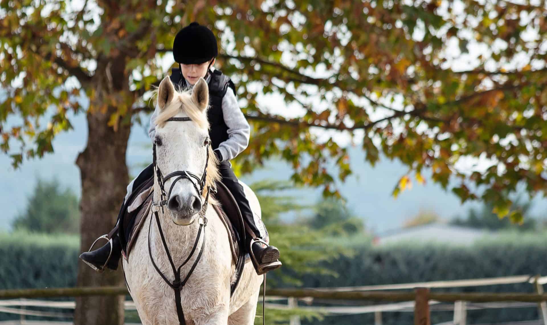5 Tips For Introducing Kids To Horses