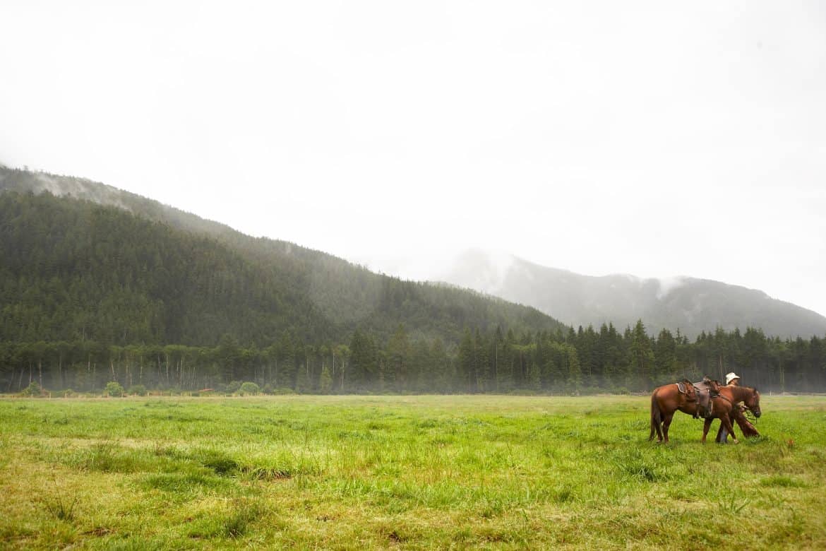 5 Tips To Save Your Tack After Riding In The Rain