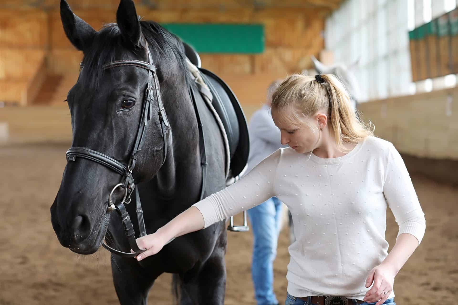 6 Reasons To Do Groundwork With Your Horse