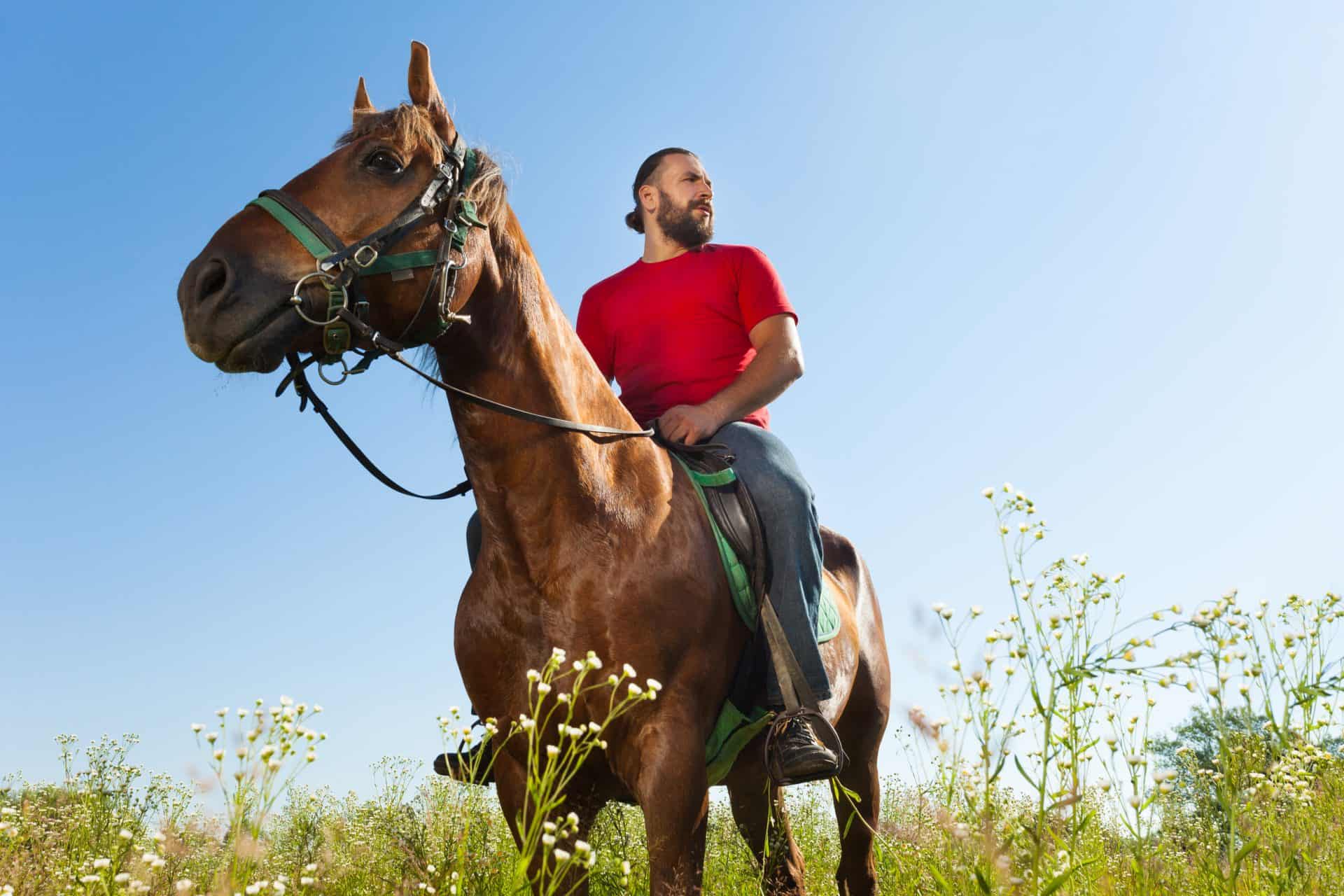 Horseback Riding Tips: 7 Steps To Become A Better Rider