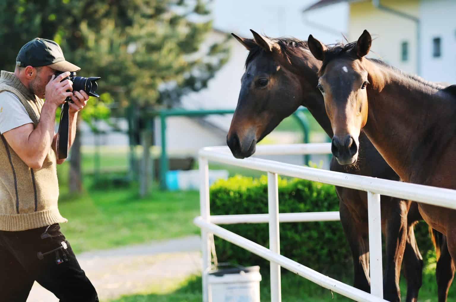 8 Great Horse Jobs To Pay The Bills And Follow Your Passion