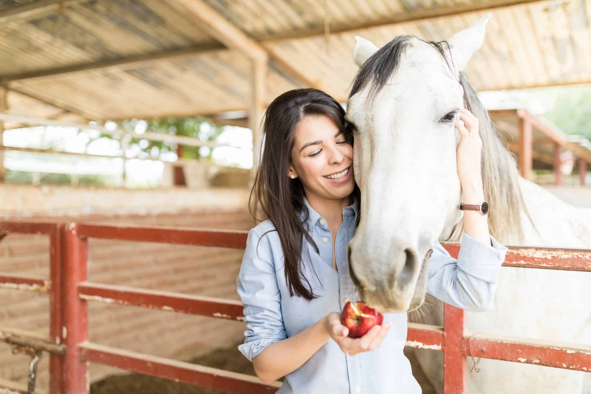 8 Great Horse Jobs To Pay The Bills And Follow Your Passion