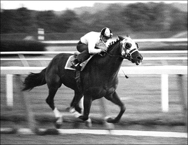 Historical Footage: Watch 12-Year-Old Secretariat Run Like A Colt!