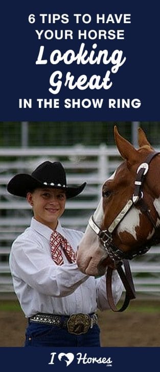 6 Tips To Have Your Horse Looking Great In The Show Ring
