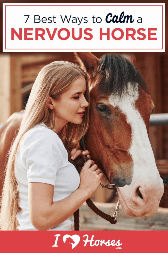 Tips To Help Calm A Nervous Horse