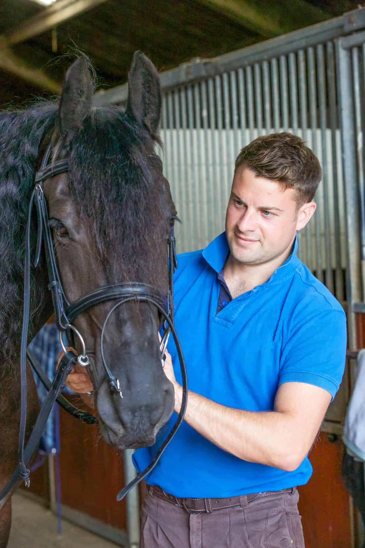 8 Reasons Why You Should Own A Horse