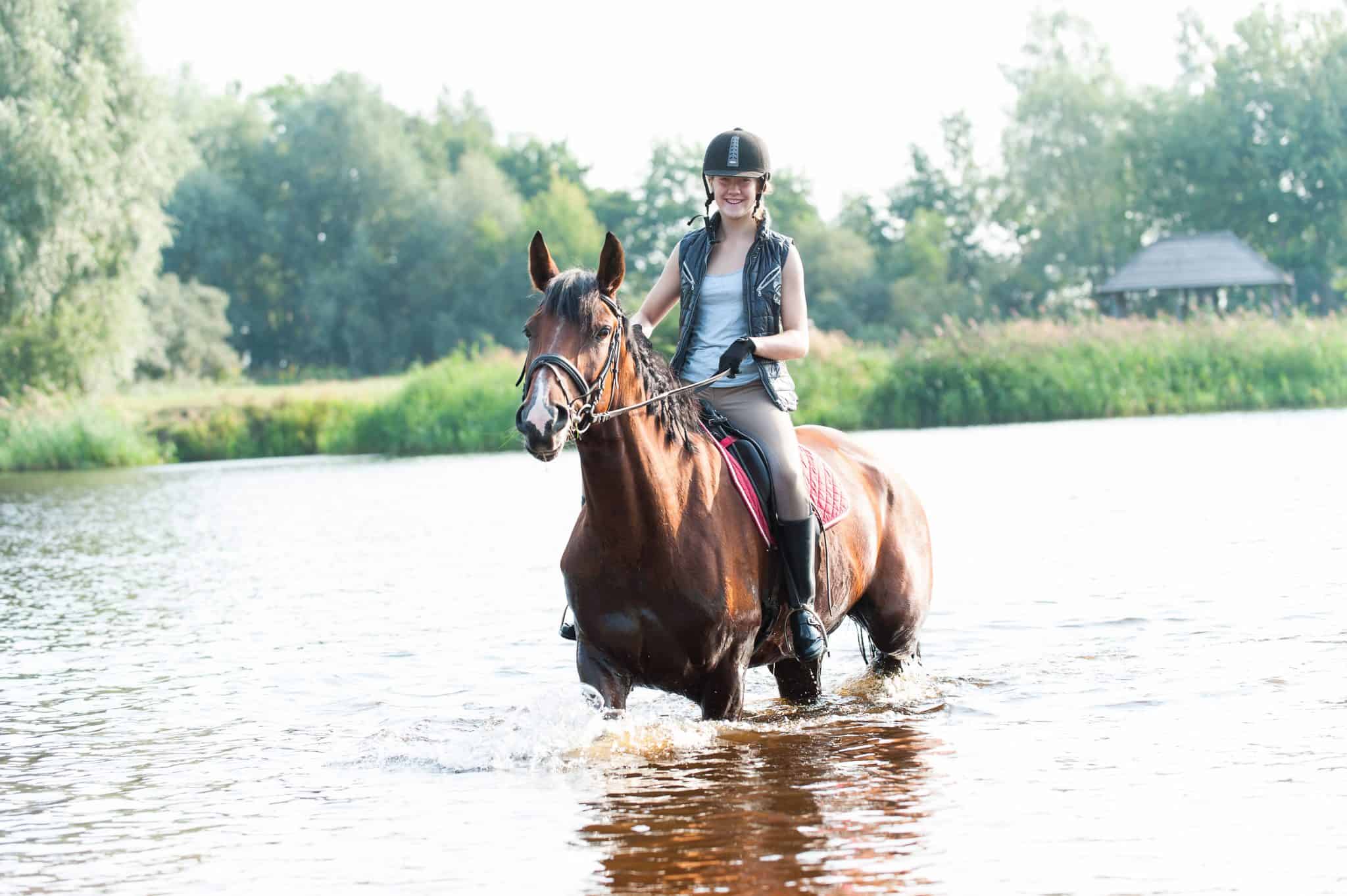 Horseback Riding Alone: 7 Important Safety Tips