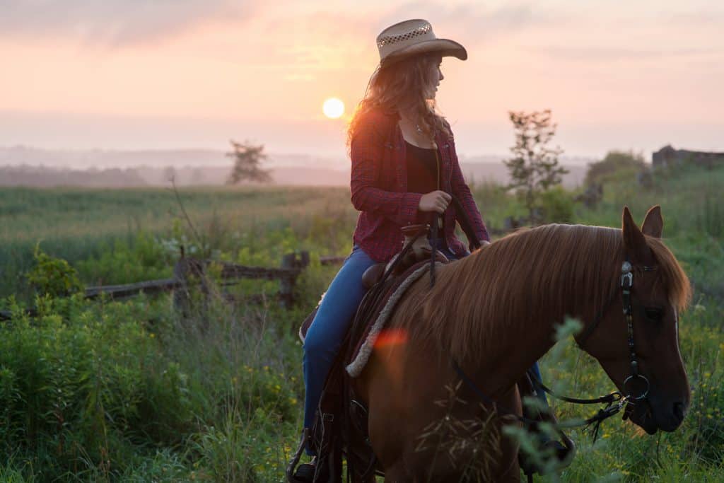 Horseback Riding Alone: 7 Important Safety Tips