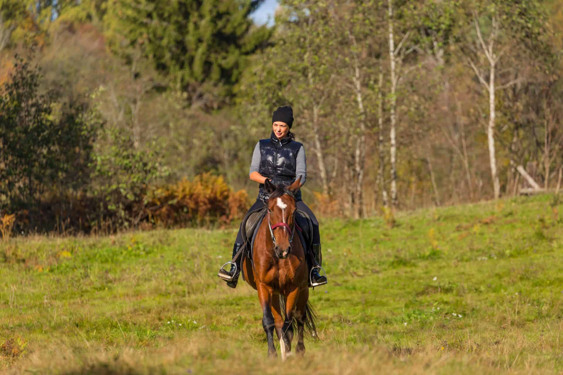 Horseback Riding Alone: 7 Important Safety Tips