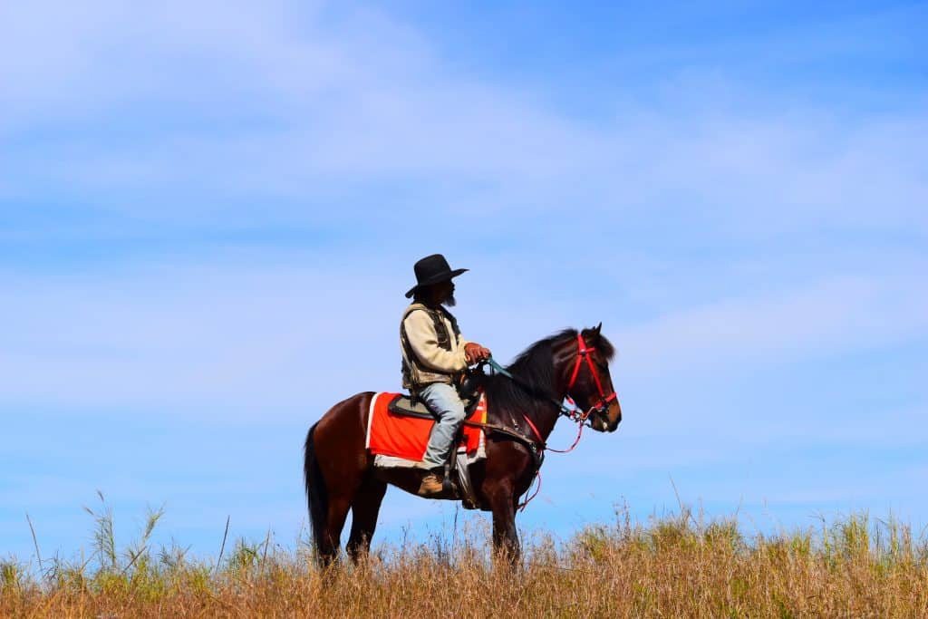 Horseback Riding Alone: 7 Important Safety Tips