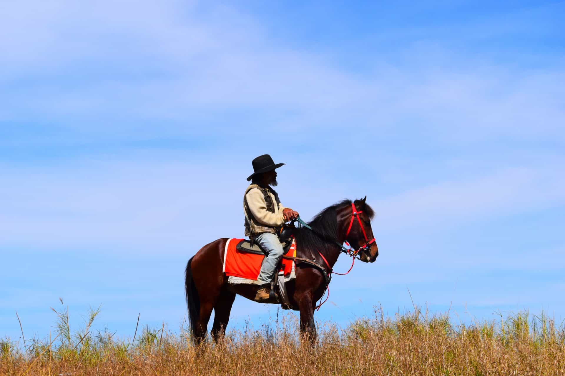 Horseback Riding Alone: 7 Important Safety Tips