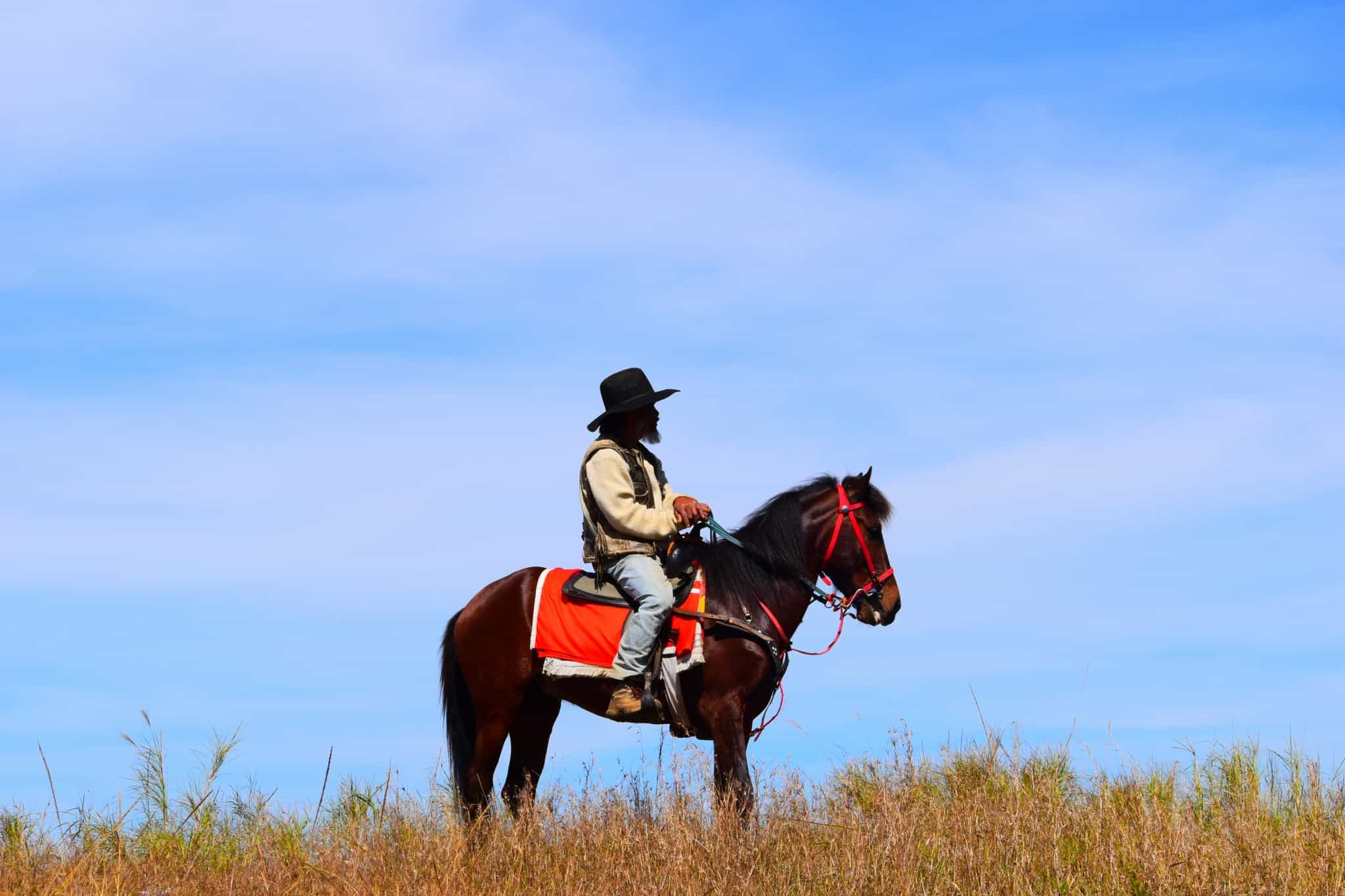 Horseback Riding Alone: 7 Important Safety Tips