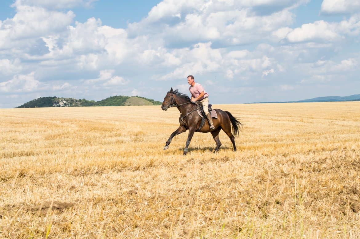 Horseback Riding Alone: 7 Important Safety Tips