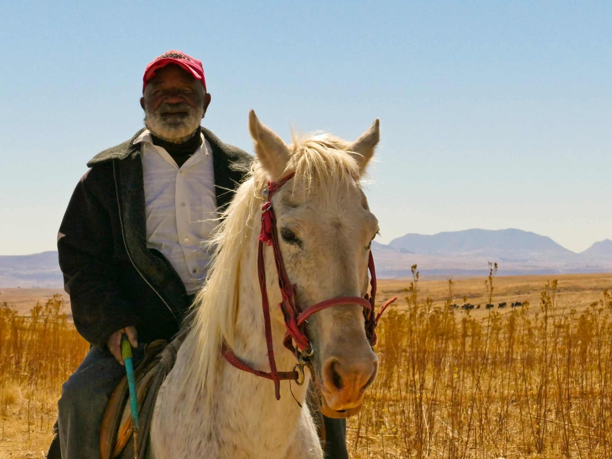Horseback Riding Alone: 7 Important Safety Tips