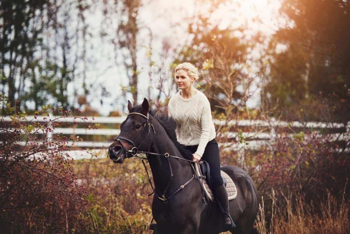 Horseback Riding Alone: 7 Important Safety Tips