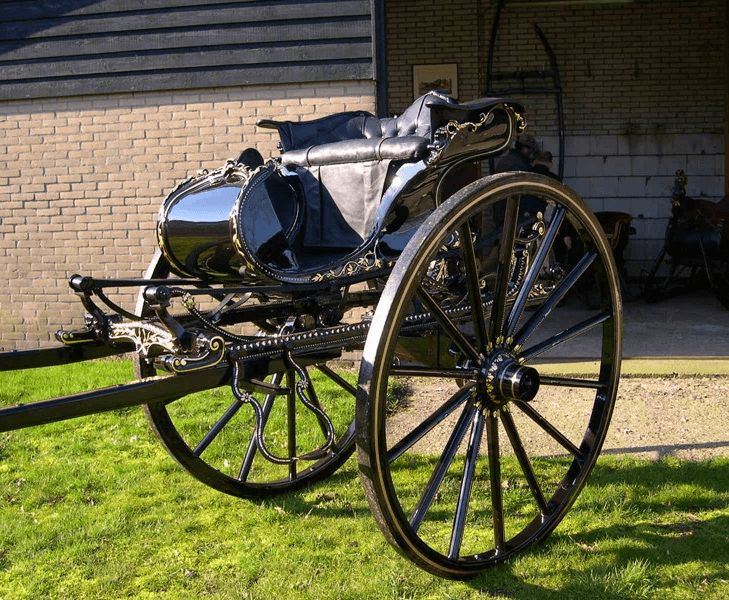 7 Things You Didn’t Know About The Friesian