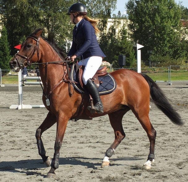 6 Effects A Poorly Fitting Saddle Can Have On Your Horse