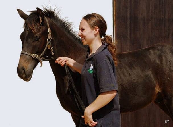 6 Signs You Are Ready To Breed Your Mare
