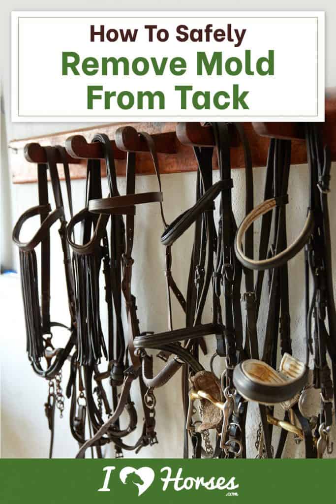 How To Remove Mold From Tack & Prevent It From Returning