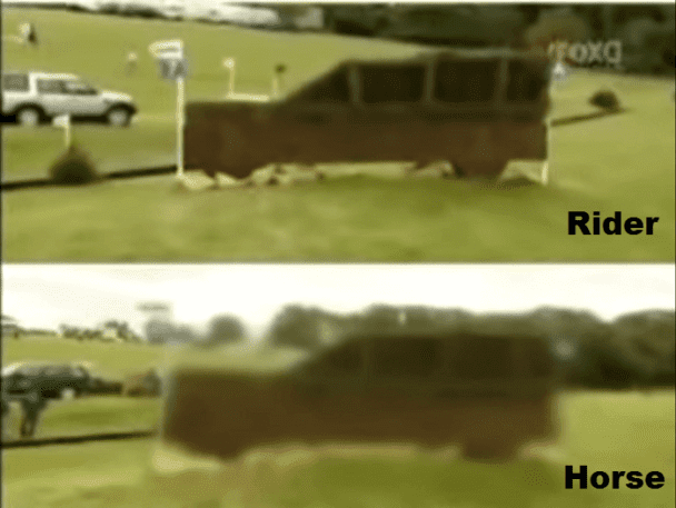 Horse Vision: A Breakdown Of How Horses See The World