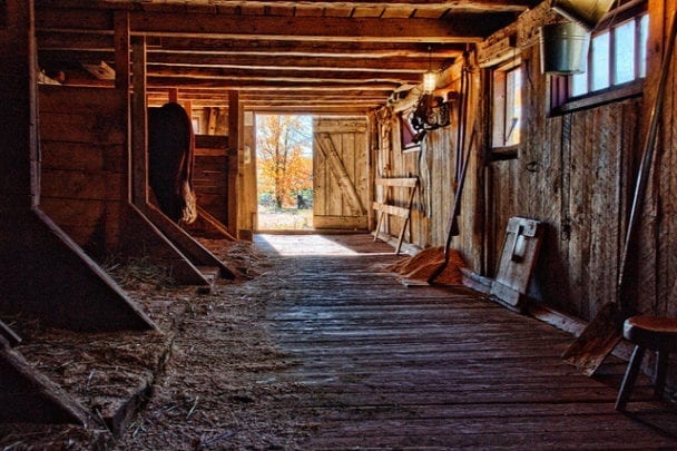 5 Ways to Make Your Barn Aisle Safer