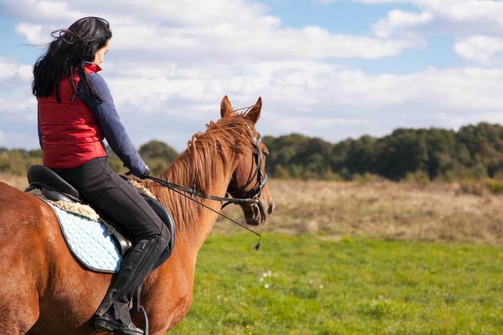 Trail Riding Safety Tips You Should Know