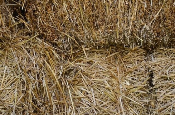 5 Tips For Storing Hay