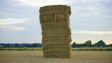 5 Tips For Storing Hay