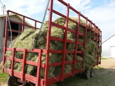 5 Tips For Storing Hay