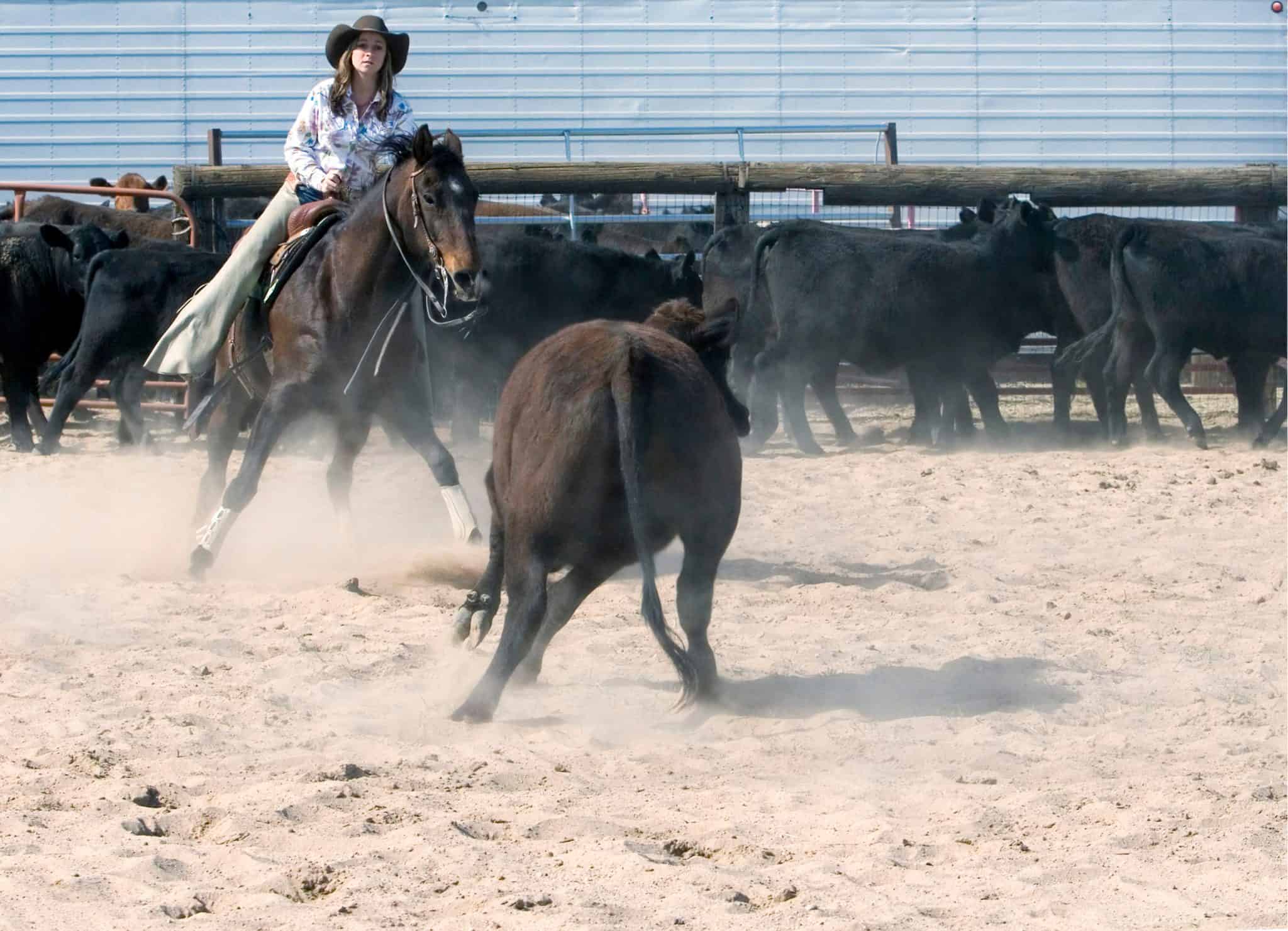 11 Different Horseback Riding Styles To Try