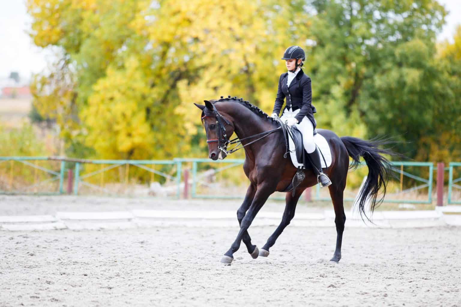 11 Different Horseback Riding Styles To Try