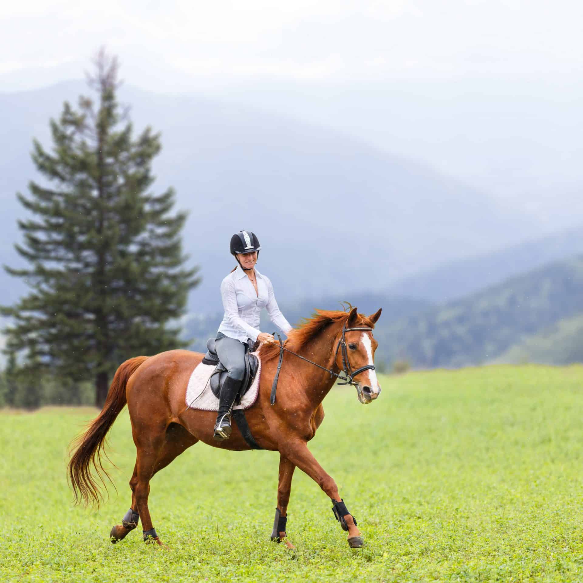 Ready To Get Back In The Saddle? Keep These Tips In Mind