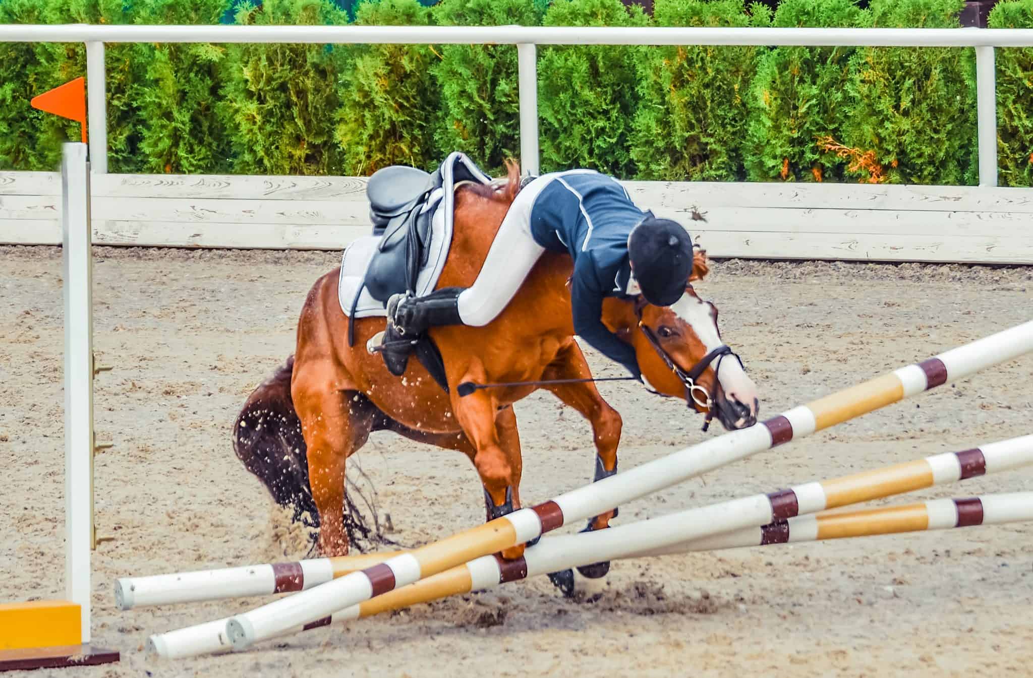 5 Ways To Regain Confidence After Falling Off A Horse