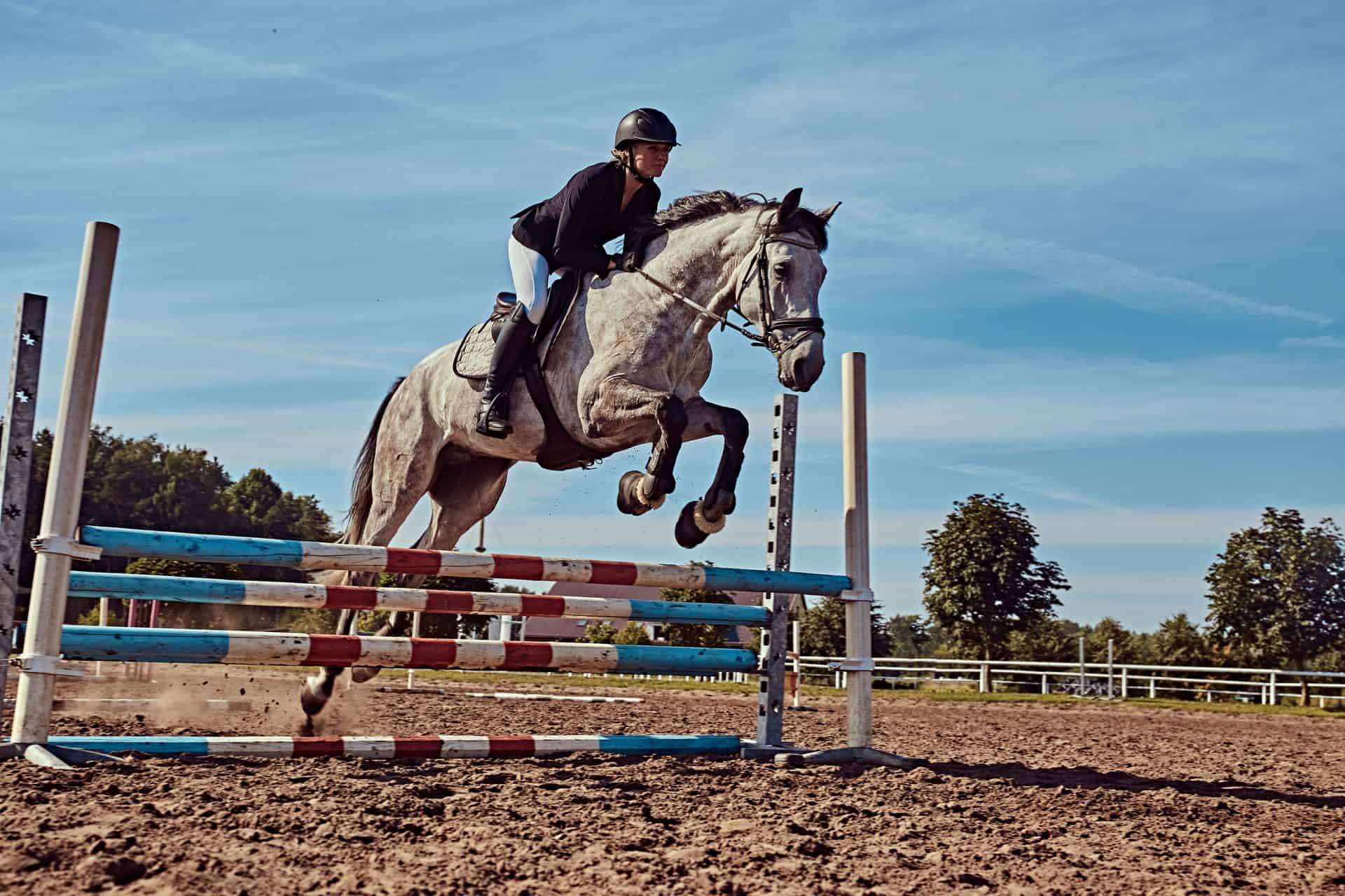 Tips To Fall From A Horse As Safely As Possible