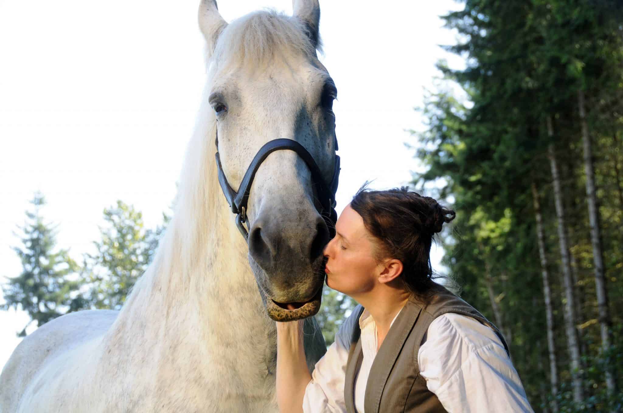 Percherons: The Fascinating Backstory Behind Our Favorite Cold-Blooded ...