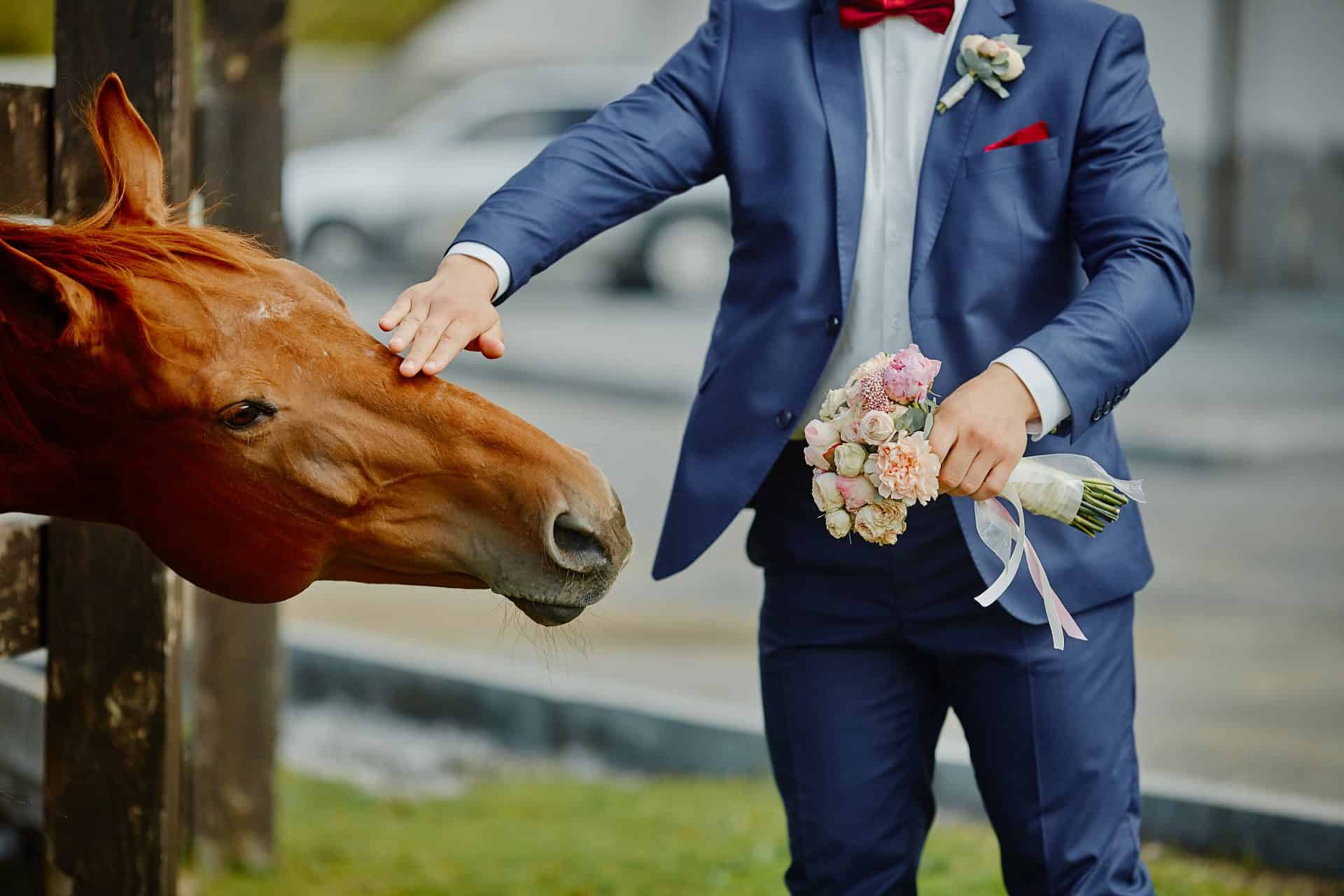 9 Ways To Incorporate Horses Into Your Wedding
