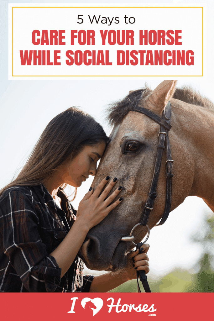 Tips To Care For Your Horse During Self Isolation