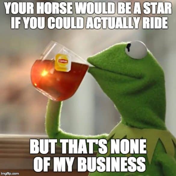 17 Of Our Favorite Equestrian Memes