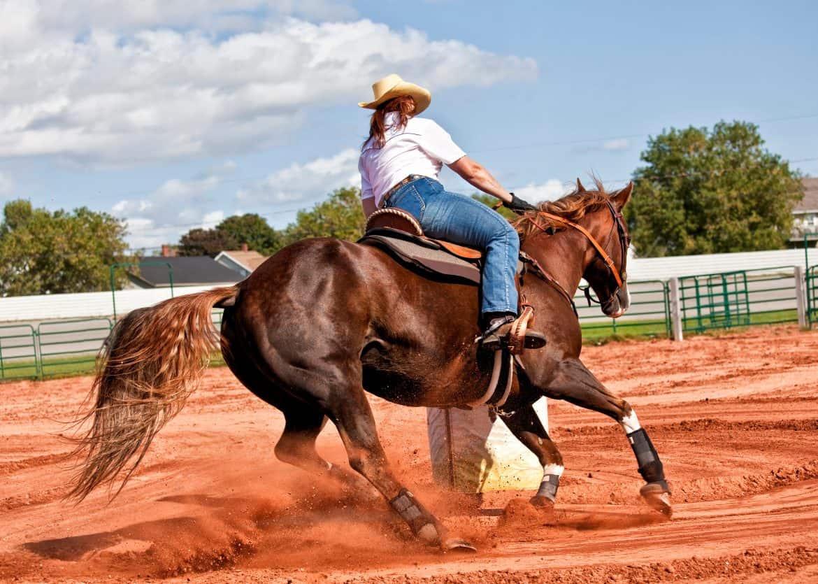 Barrel Racing For Beginners: The Basics