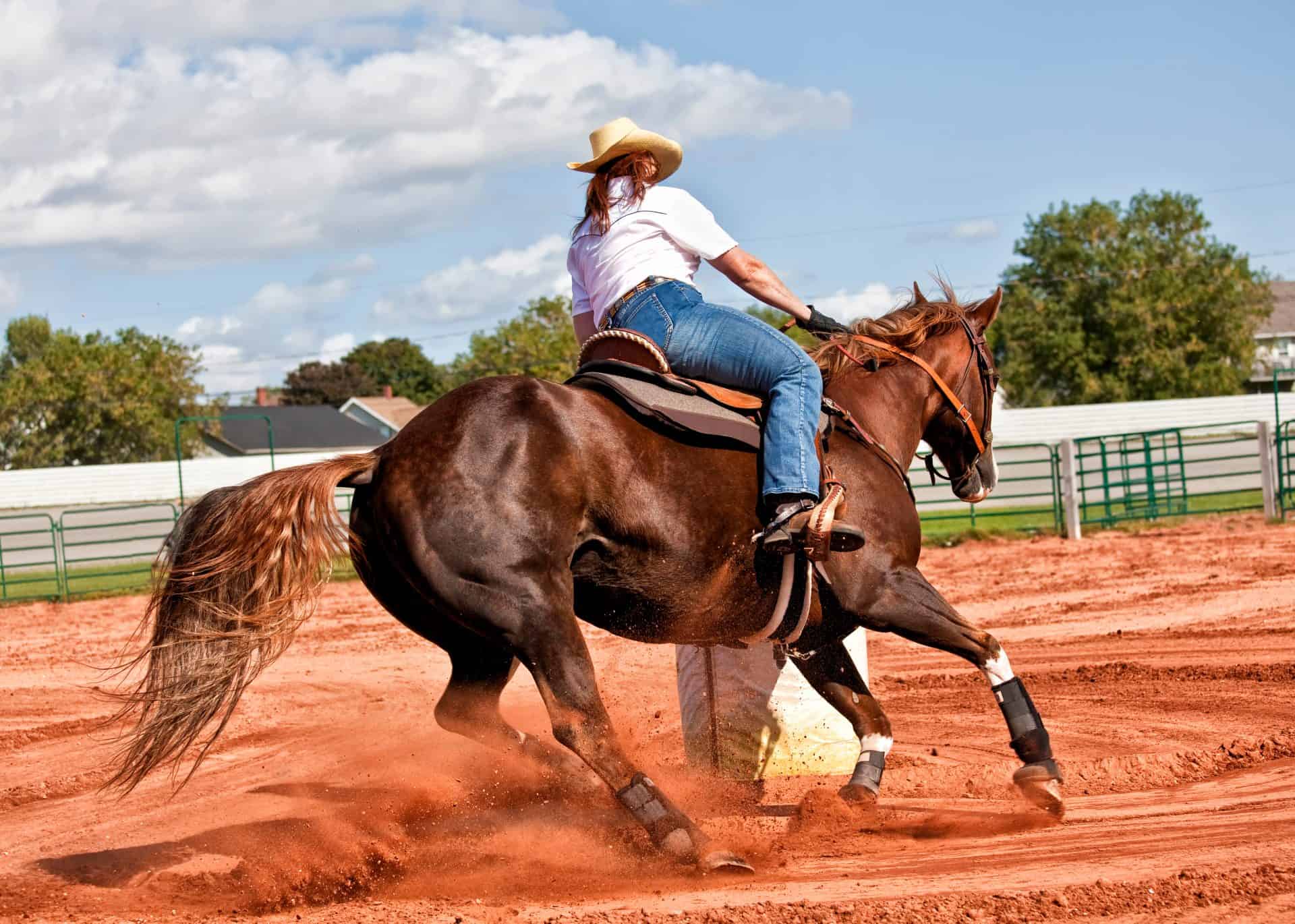 Barrel Racing For Beginners: The Basics