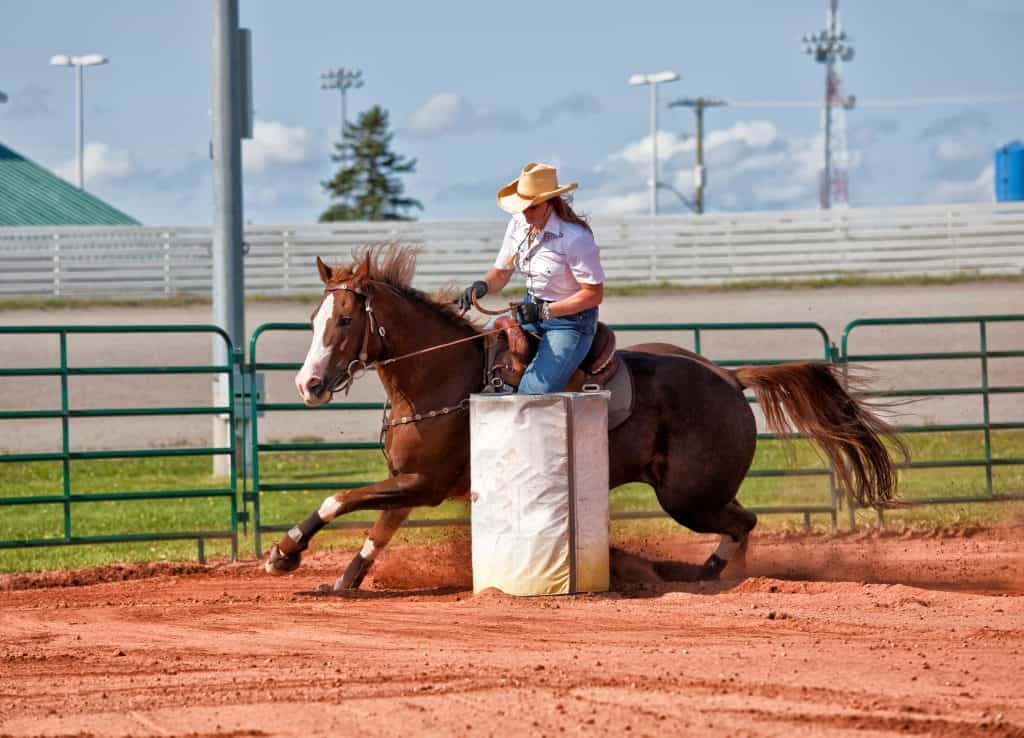 Barrel Racing For Beginners: The Basics