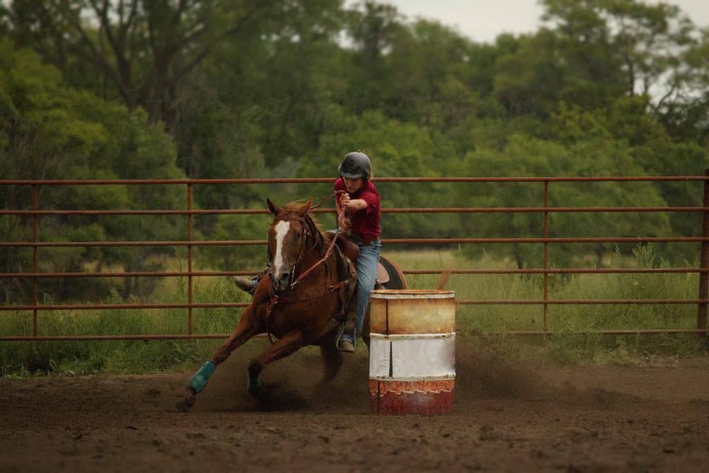 Barrel Racing For Beginners: The Basics
