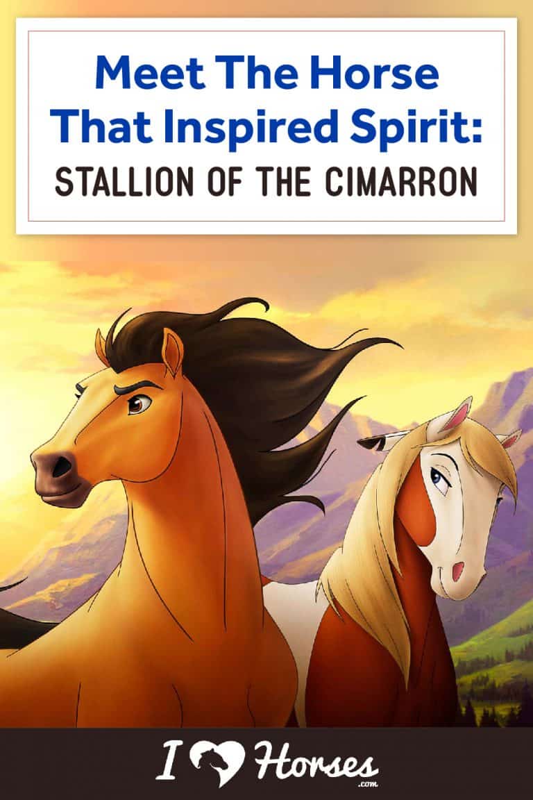 Meet The Real-Life Mustang That Inspired 'Spirit: Stallion of the Cimarron'